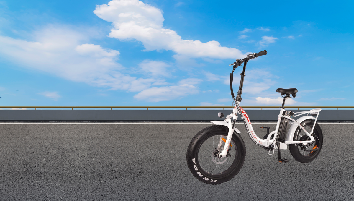 Home | Edmonton's DJ E-Bike Distributor – CadRayTy E-Bike Dist. Inc